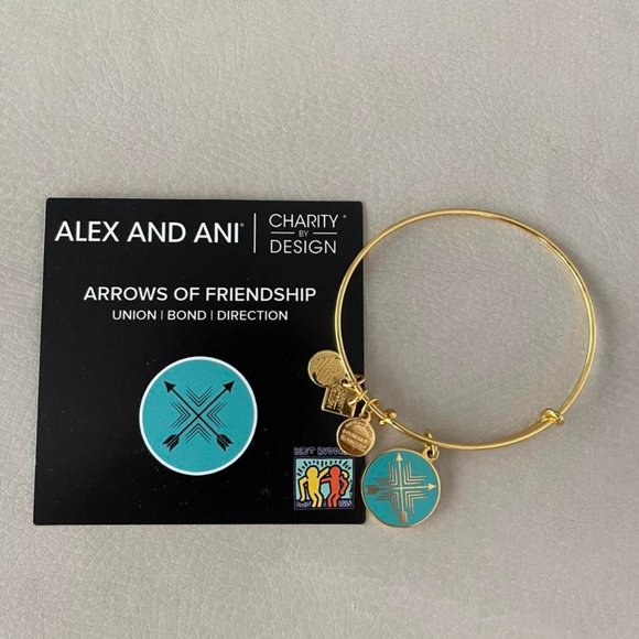 Alex and Ani | Jewelry | Alex And Ani Arrows Of Friendship Charm Bangle ...